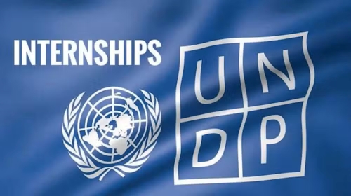 🌍 UNDP Launches Remote Internship for 2025 — Earn $200–$500/Month from ...